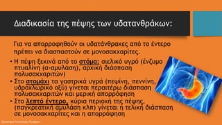 Οι υδατάνθρακες από θρεπτική άποψη | PPT