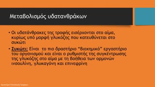 Οι υδατάνθρακες από θρεπτική άποψη | PPT