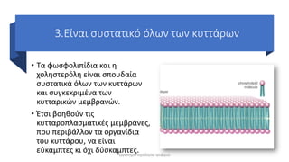Τα λίπη από θρεπτική άποψη | PPT