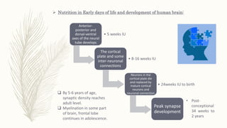 Nutrition and cognition | PPTX