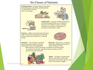 Nutrition and dietetics | PPT