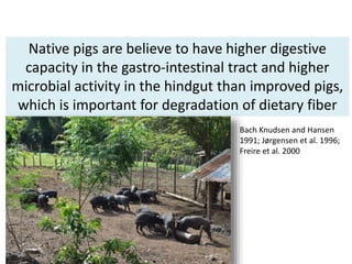 Nutrition and feeding of native pig | PPTX