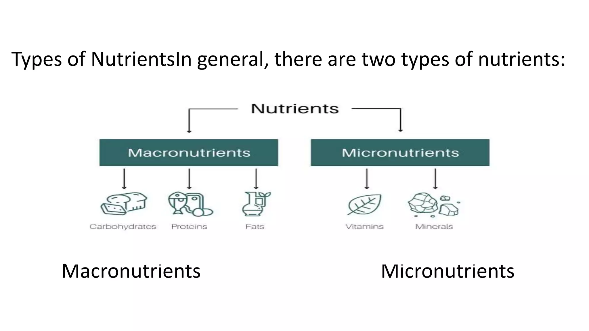 nutrition and health.pptx