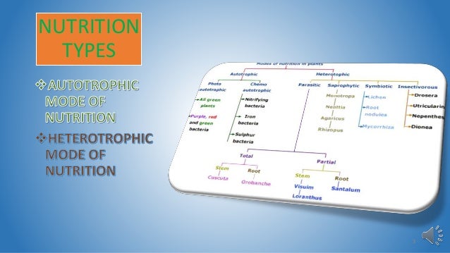 Nutrition and its types