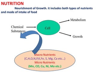 Nutrition and nutiritional types of bacteria | PPTX