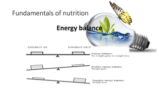 Nutrition and performance | PPTX