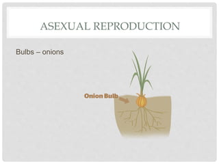 Nutrition and reproduction of plants | PPTX