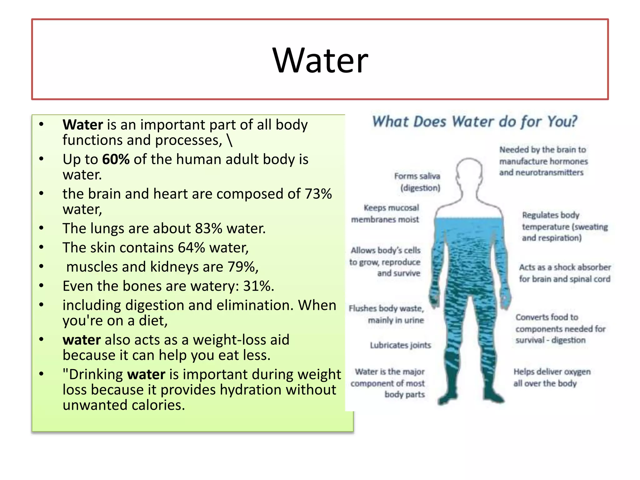 Nutrition and Wellness / food Supplements / | PPTX