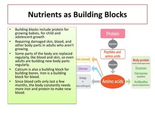 Nutrition and Wellness / food Supplements / | PPTX