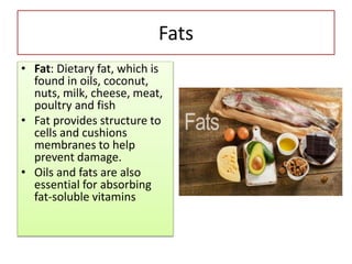 Nutrition and Wellness / food Supplements / | PPTX