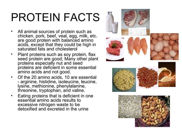 Nutrition Basic 1 Macronutrients | PPT