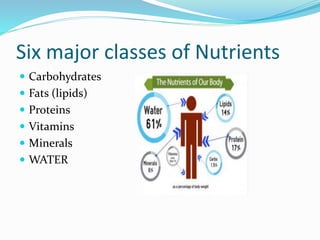 Nutrition basics | PPTX
