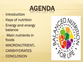 nutrition basics.pdf