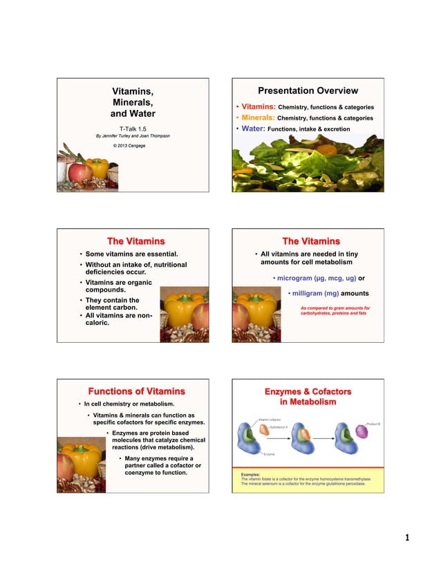 Nutrition basic terminology | PDF