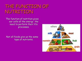 Nutrition by Clara Pérez and Pilar Junquera | PPT