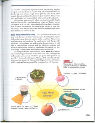 Nutrition chapters grade 9 | PDF