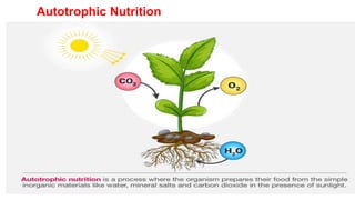 Nutrition class 7 full.pptx