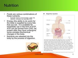 Nutrition class for nurses general | PPT
