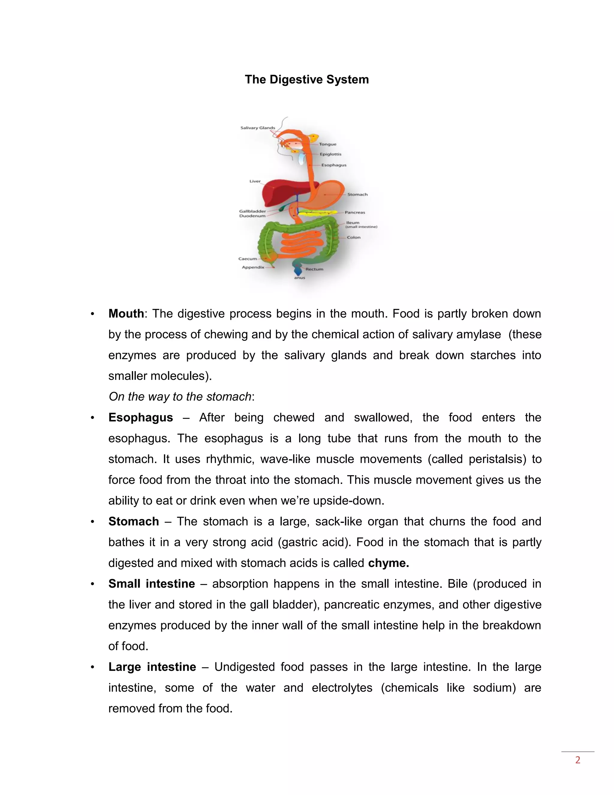 Nutrition and Diet Theraphy | PDF