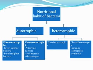 Nutrition, cultivation and isolation of bacteria | PPTX