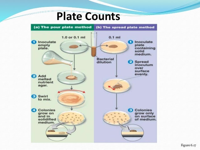 Nutrition, cultivation and isolation of bacteria