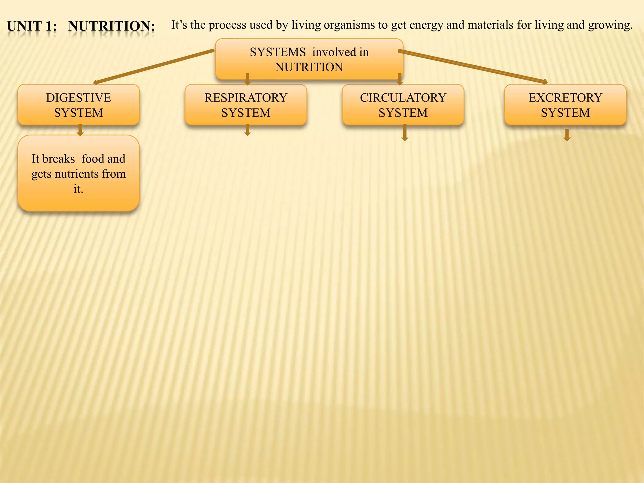 Nutrition diagram. english | PDF