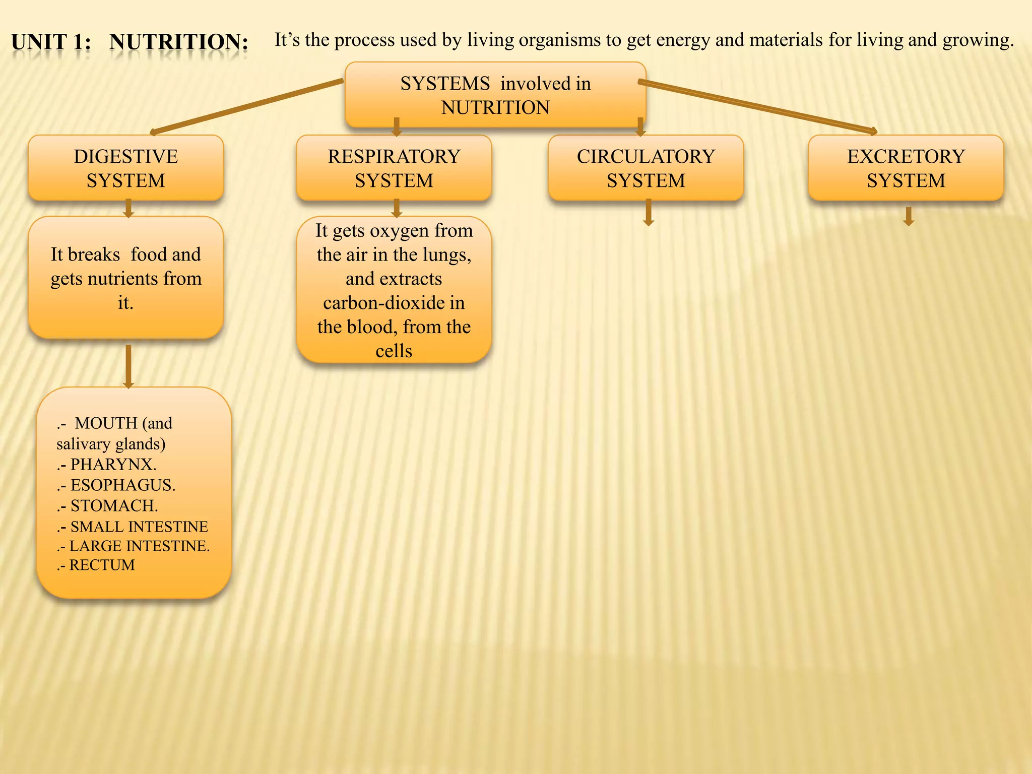 Nutrition diagram. english | PDF