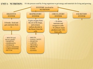 Nutrition diagram. english | PDF