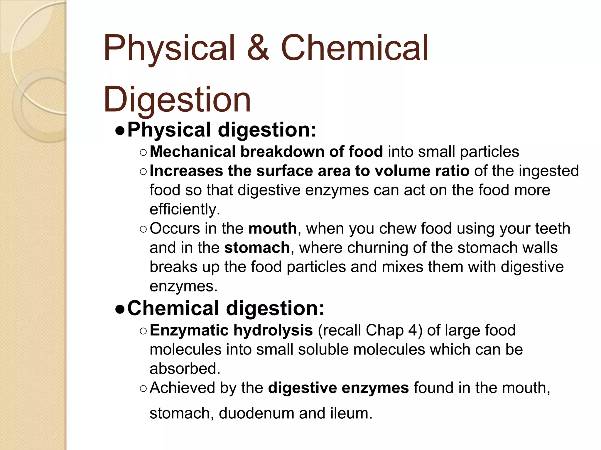 nutrition&digestion.pptx