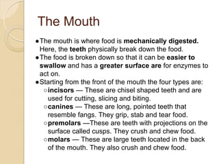 nutrition&digestion.pptx