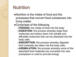 nutrition&digestion.pptx