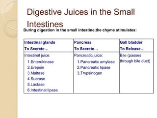 nutrition&digestion.pptx
