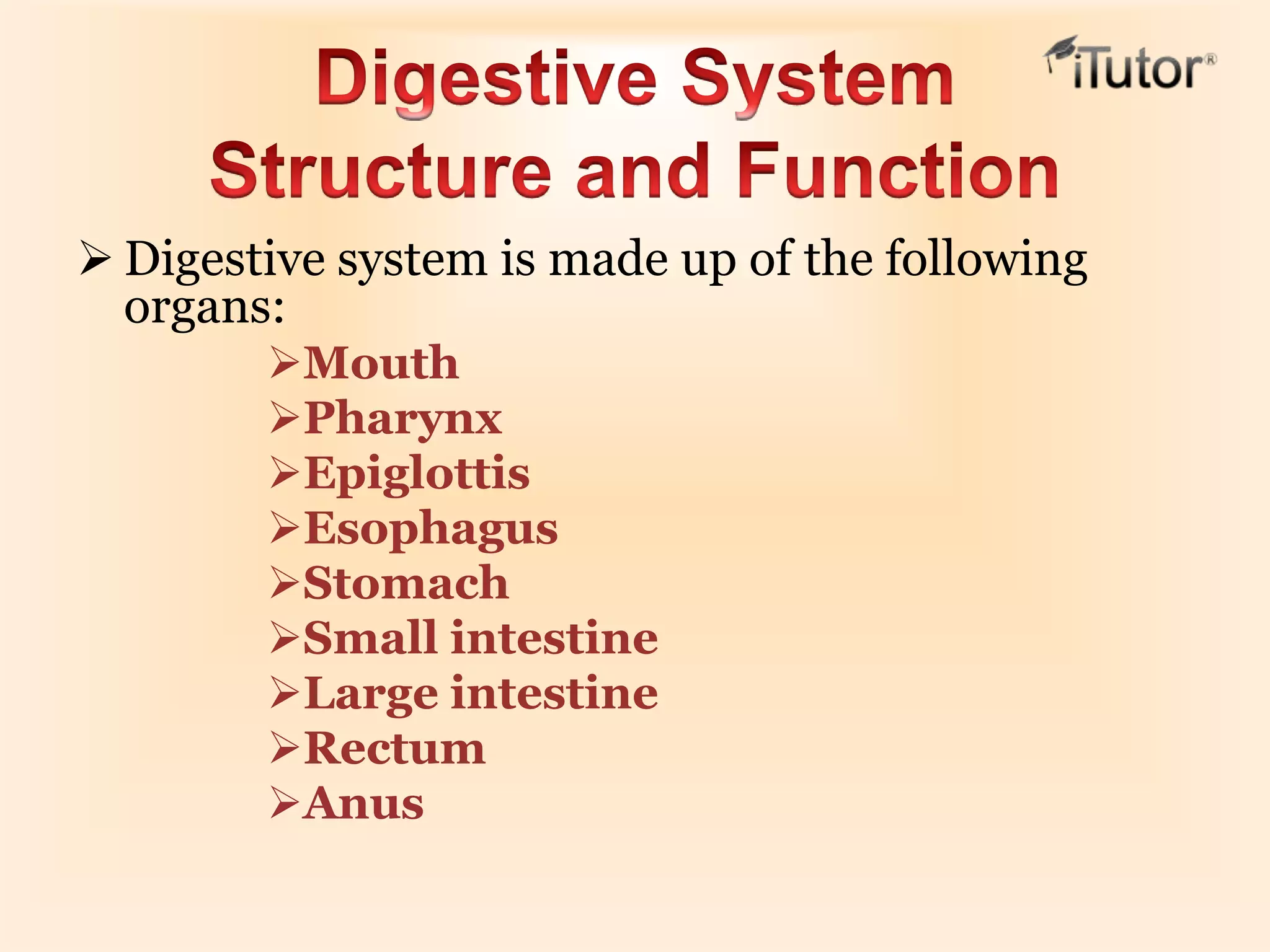 Nutrition & digestive system | PPTX