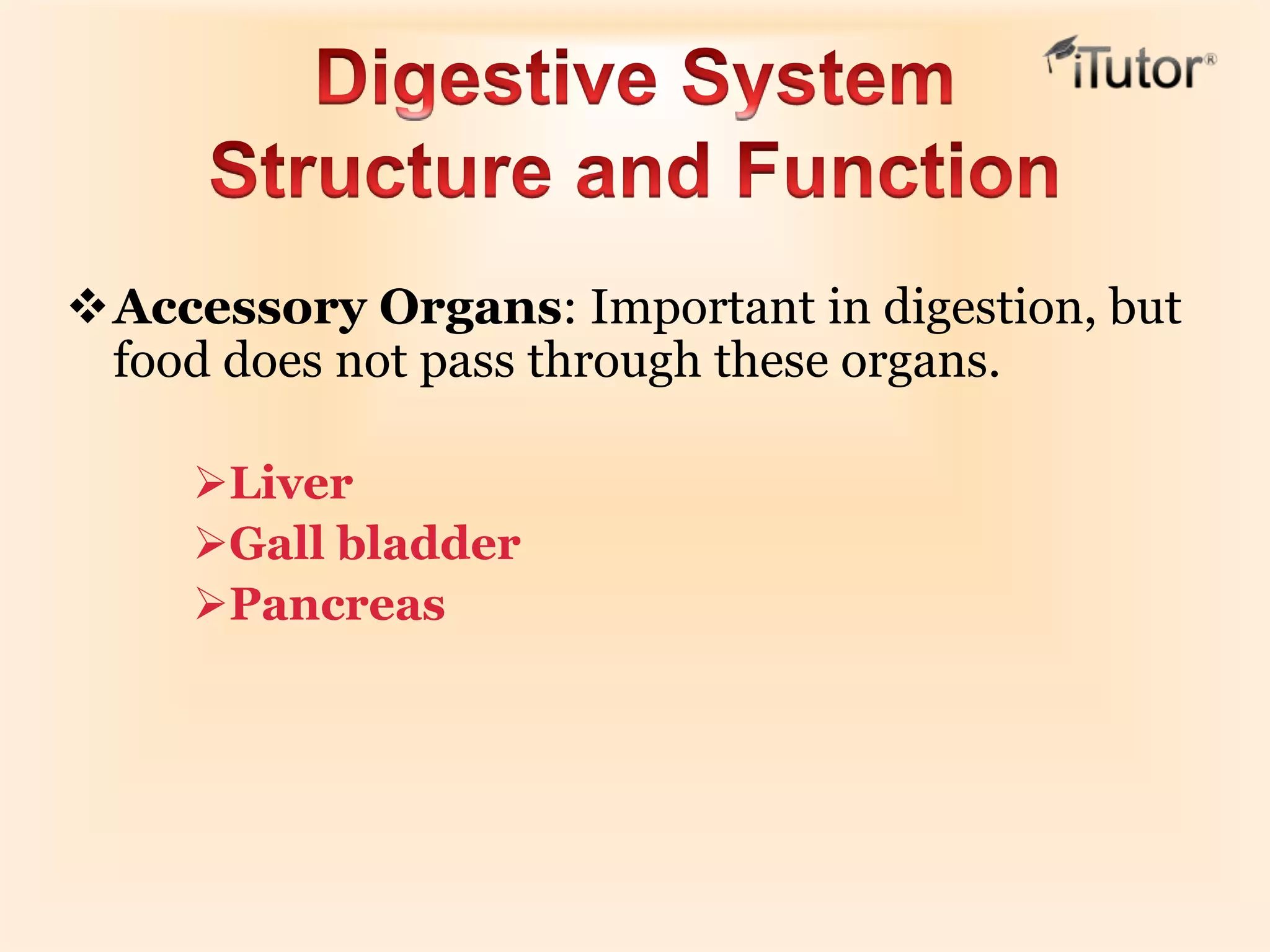 Nutrition & digestive system | PPTX