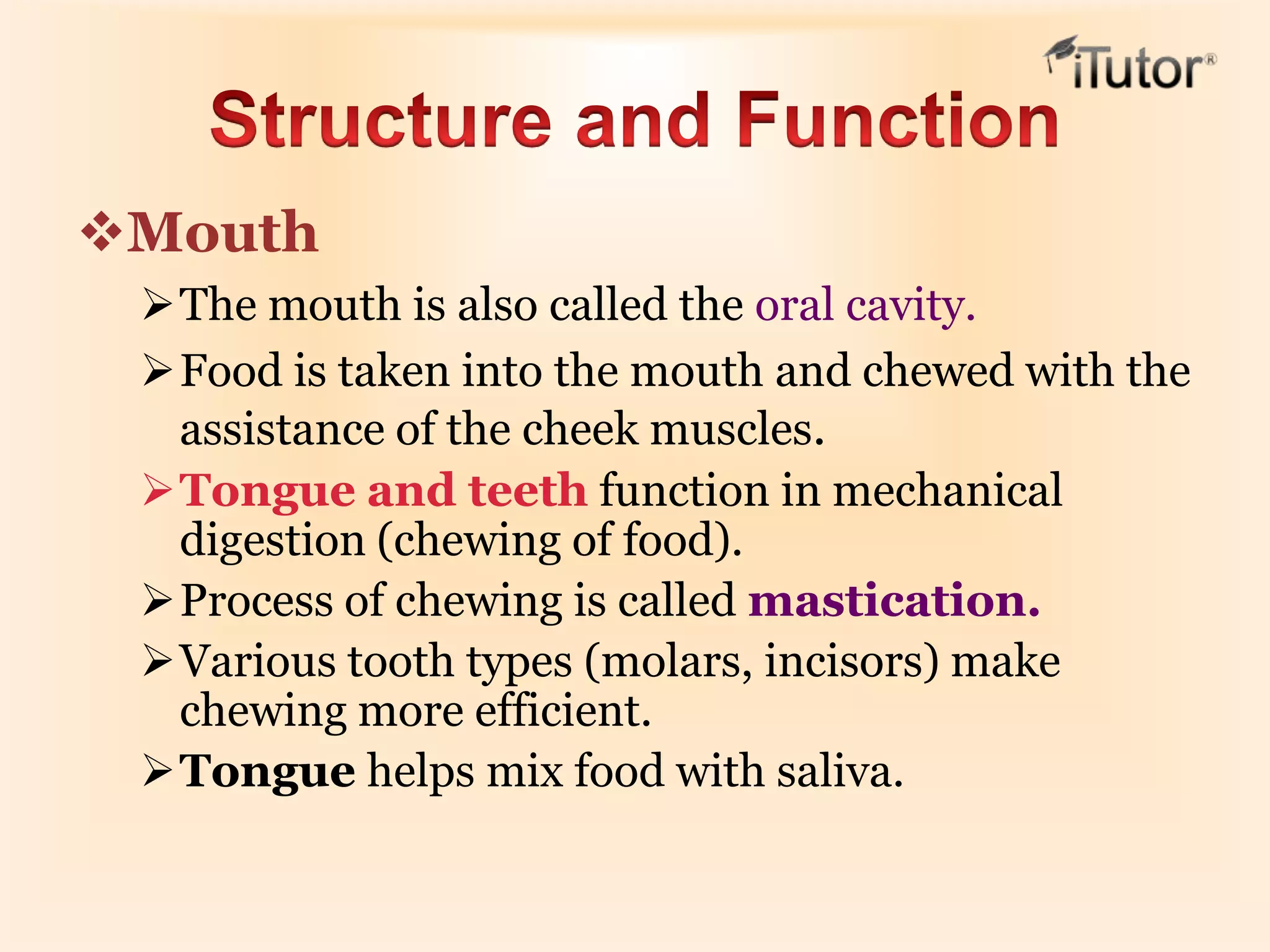 Nutrition & digestive system | PPTX