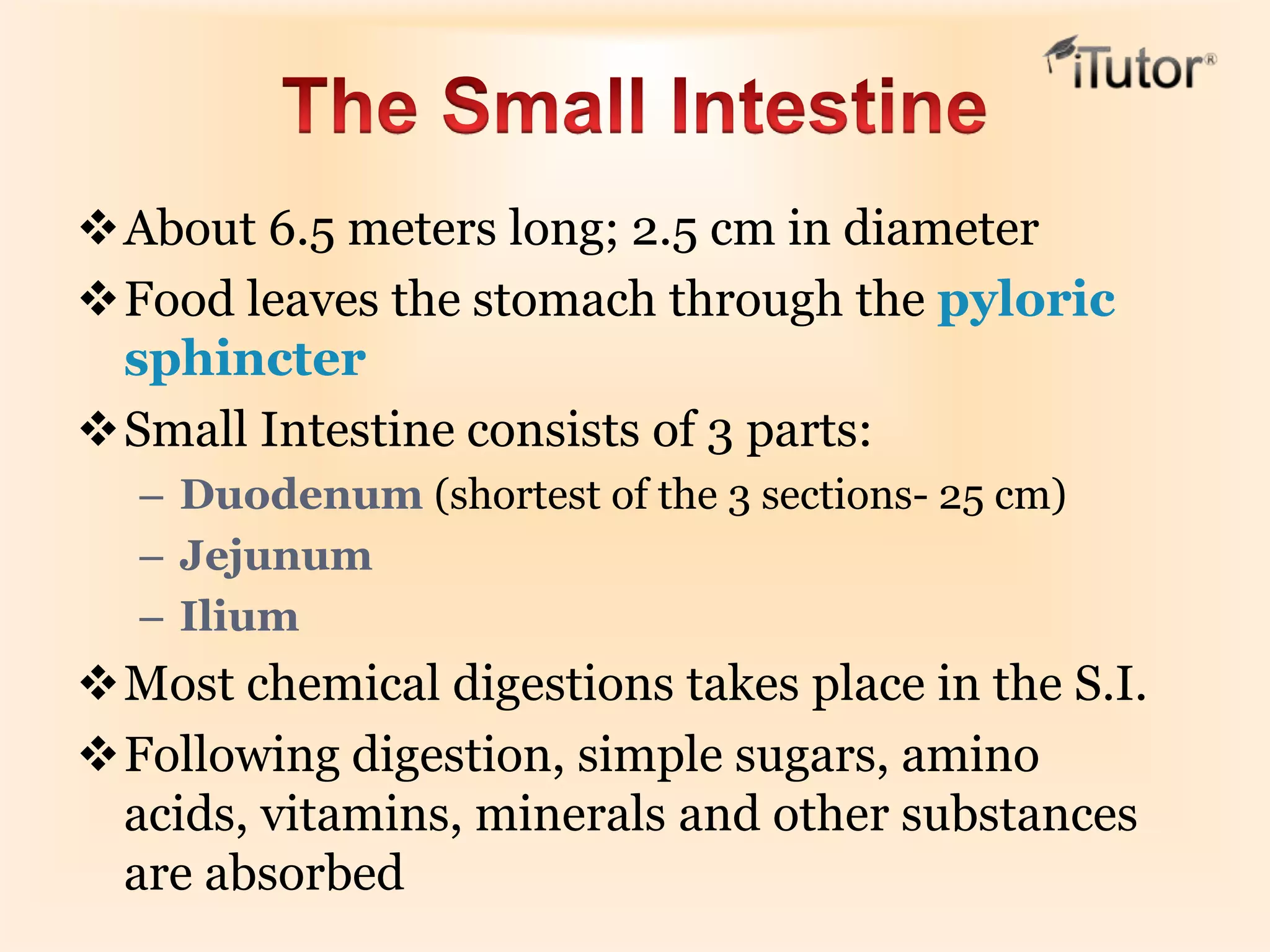 Nutrition & digestive system | PPTX