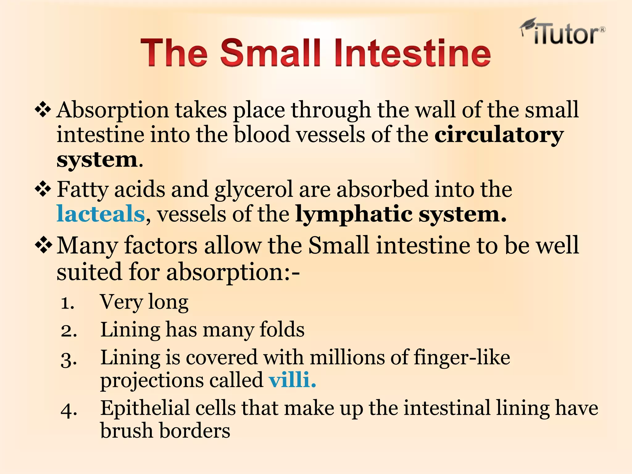 Nutrition & digestive system | PPTX