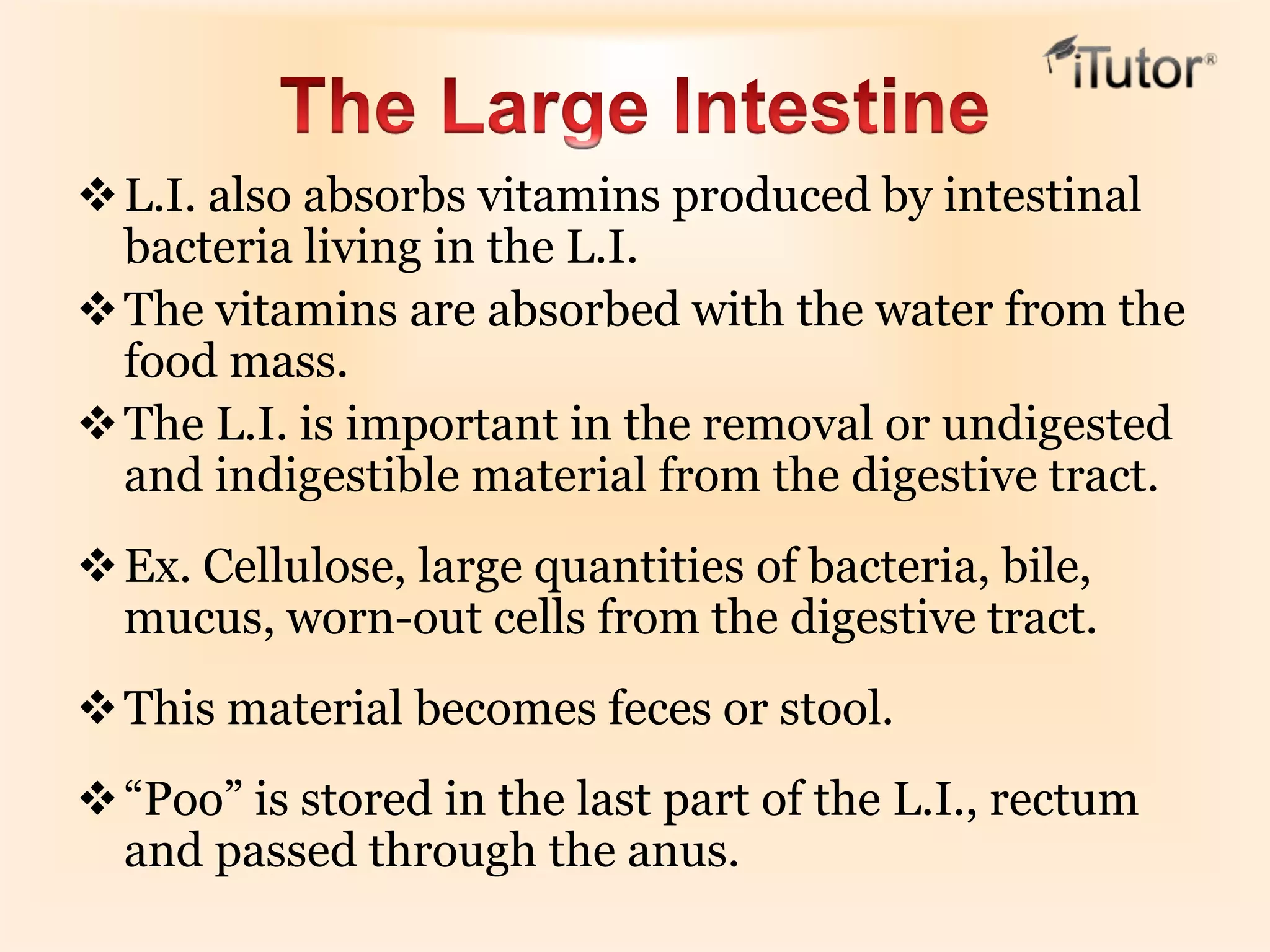 Nutrition & digestive system | PPTX