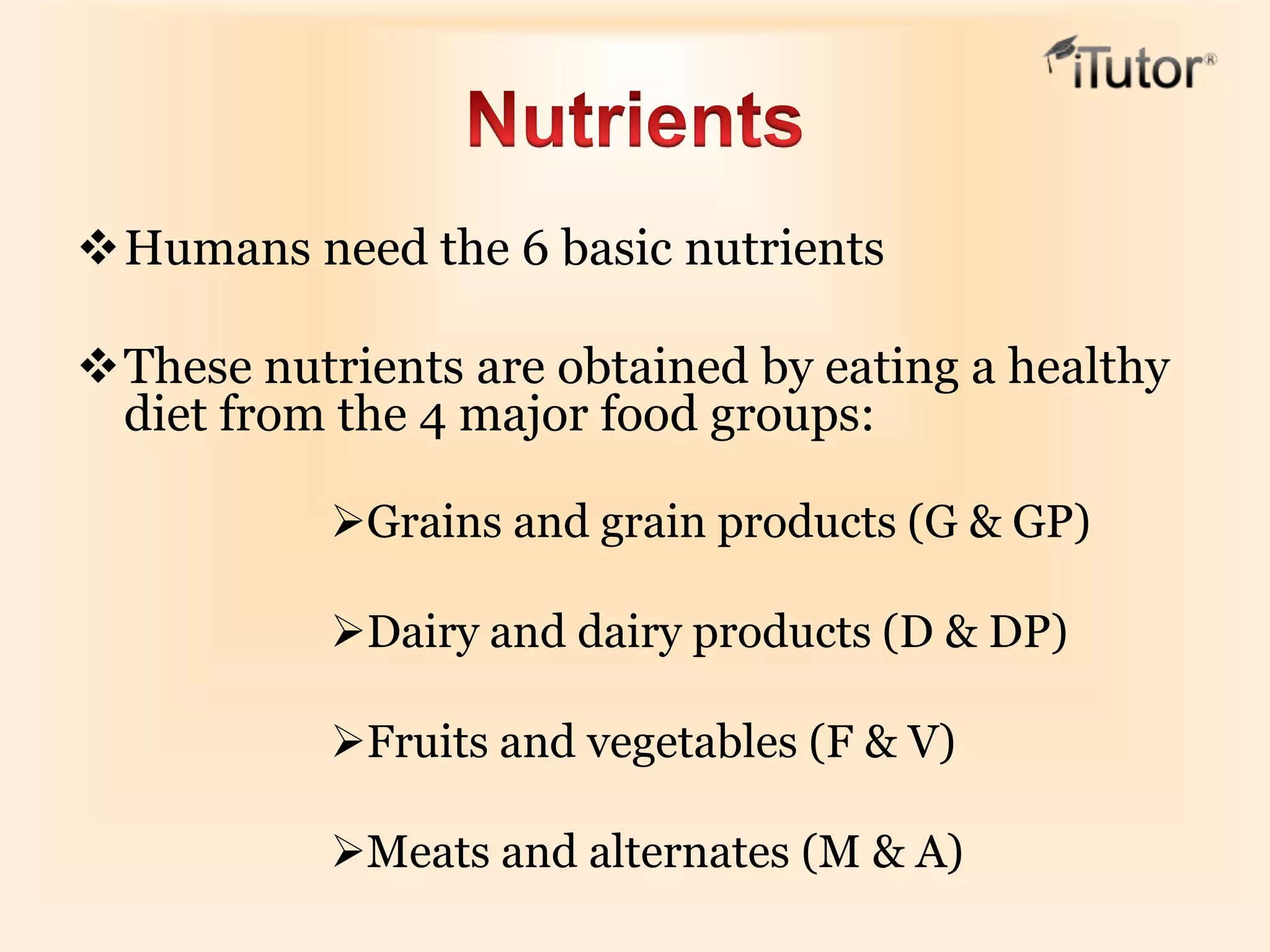 Nutrition & digestive system | PPTX