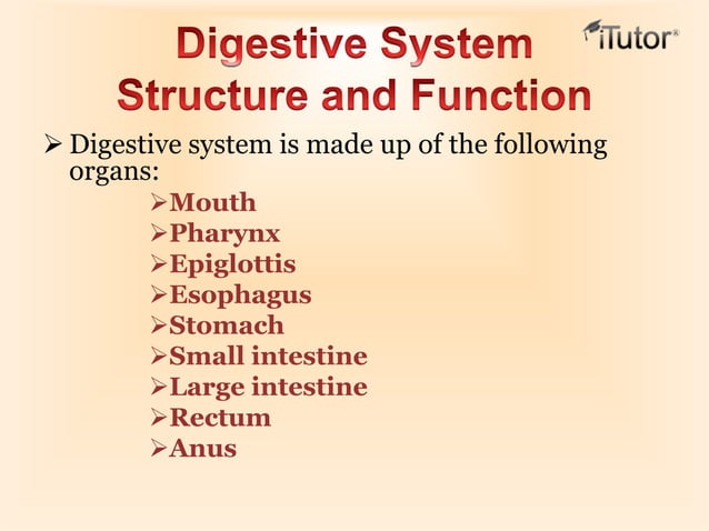 Nutrition & digestive system | PPTX | Digestive Disorders | Diseases ...