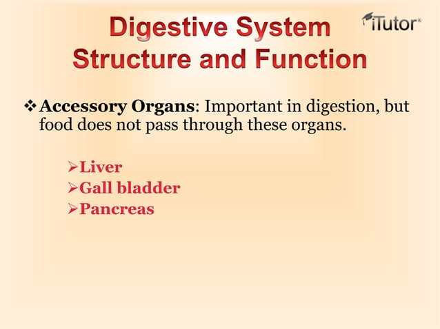 Nutrition & digestive system | PPTX | Digestive Disorders | Diseases ...