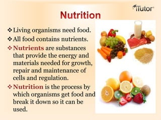 Nutrition & digestive system | PPTX
