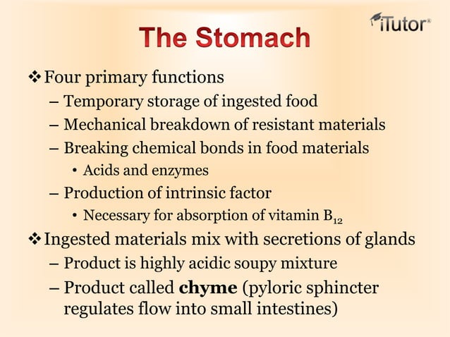 Nutrition & digestive system | PPTX | Digestive Disorders | Diseases ...