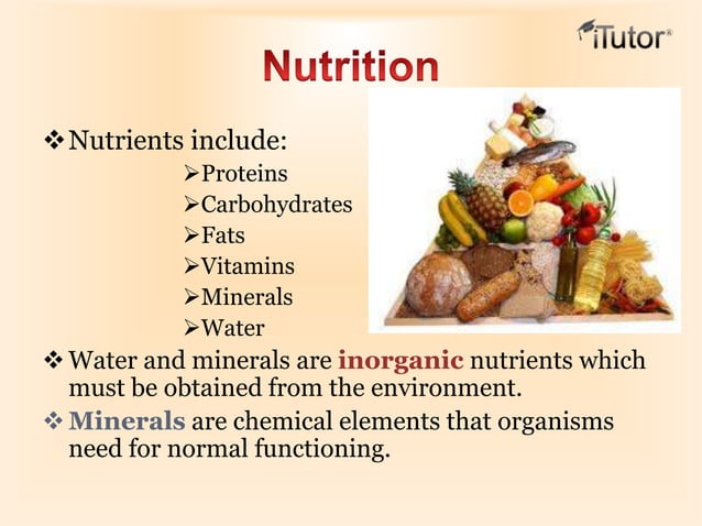 Nutrition & digestive system | PPTX | Digestive Disorders | Diseases ...