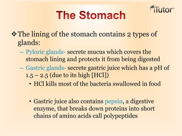 Nutrition & digestive system | PPTX | Digestive Disorders | Diseases ...