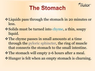 Nutrition & digestive system | PPTX