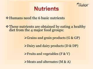 Nutrition & digestive system | PPTX