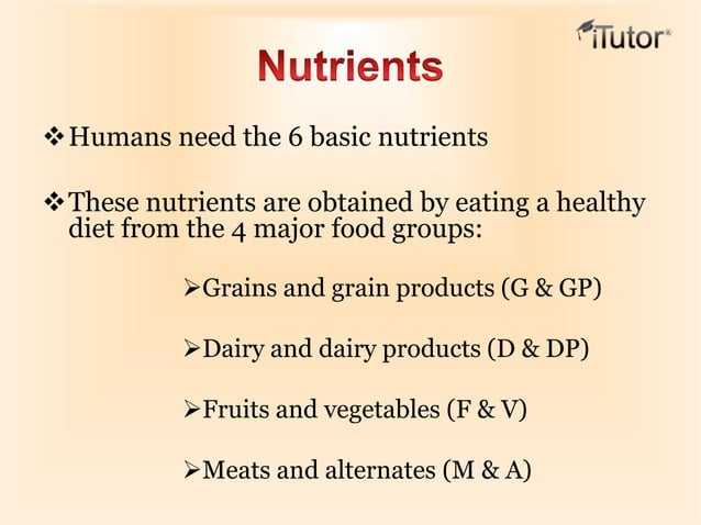 Nutrition & digestive system | PPTX | Digestive Disorders | Diseases ...