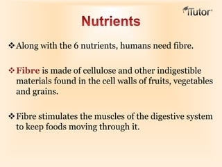 Nutrition & digestive system | PPTX