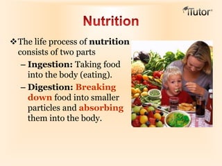 Nutrition & digestive system | PPTX